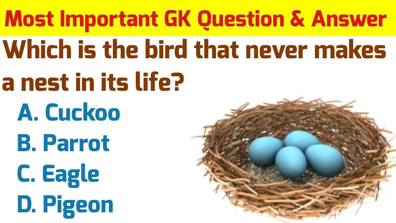 Most Important GK Question | Interesting Gk Question & Answer | Gk ...