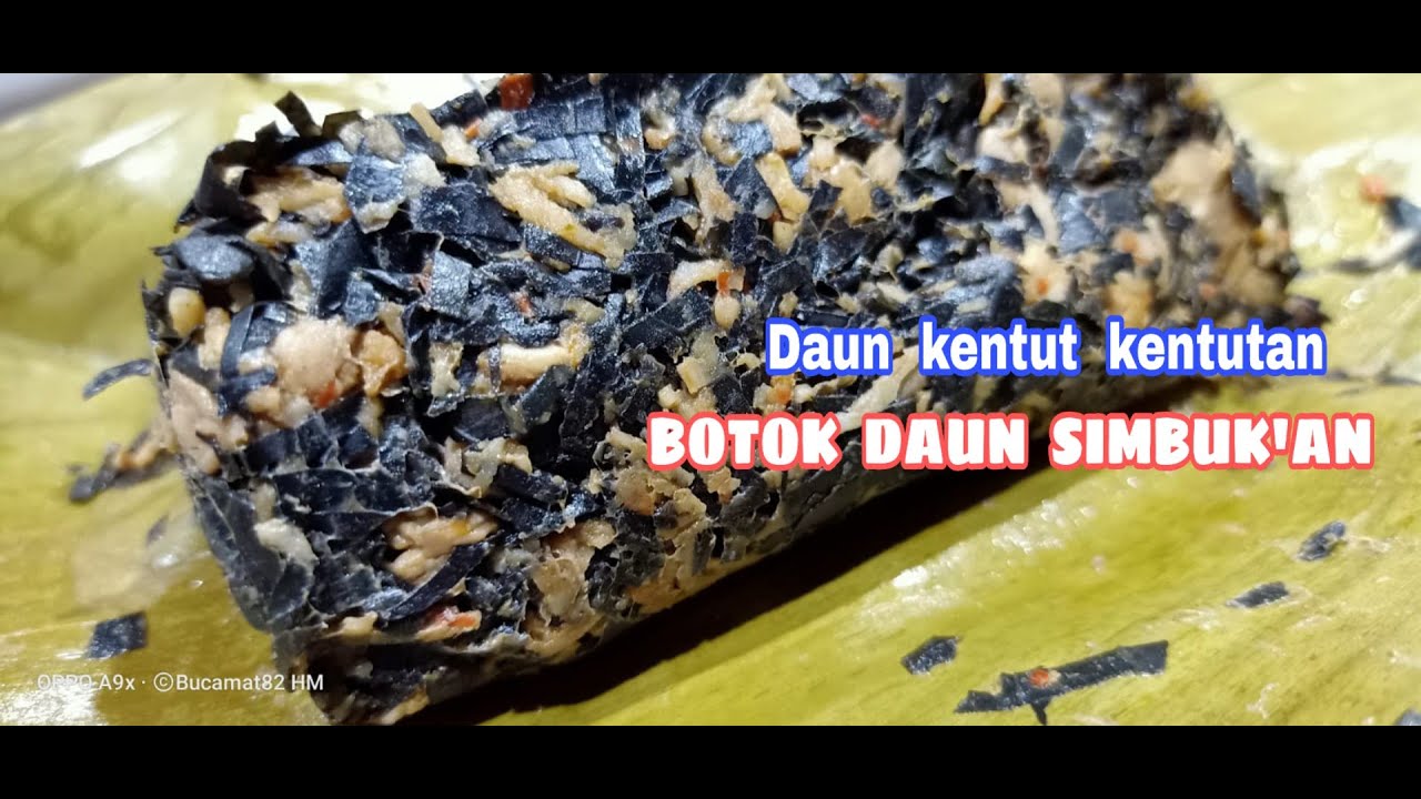 BOTOK DAUN SIMBUK'AN TIDAK PAHIT DAN TIDAK LANGU ( DAUN KENTUT KENTUTAN ...