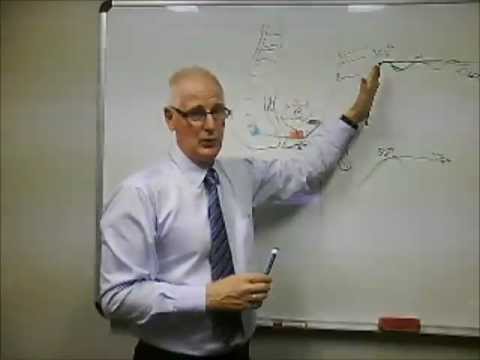 Prostate Recovery MAP Level Two - YouTube