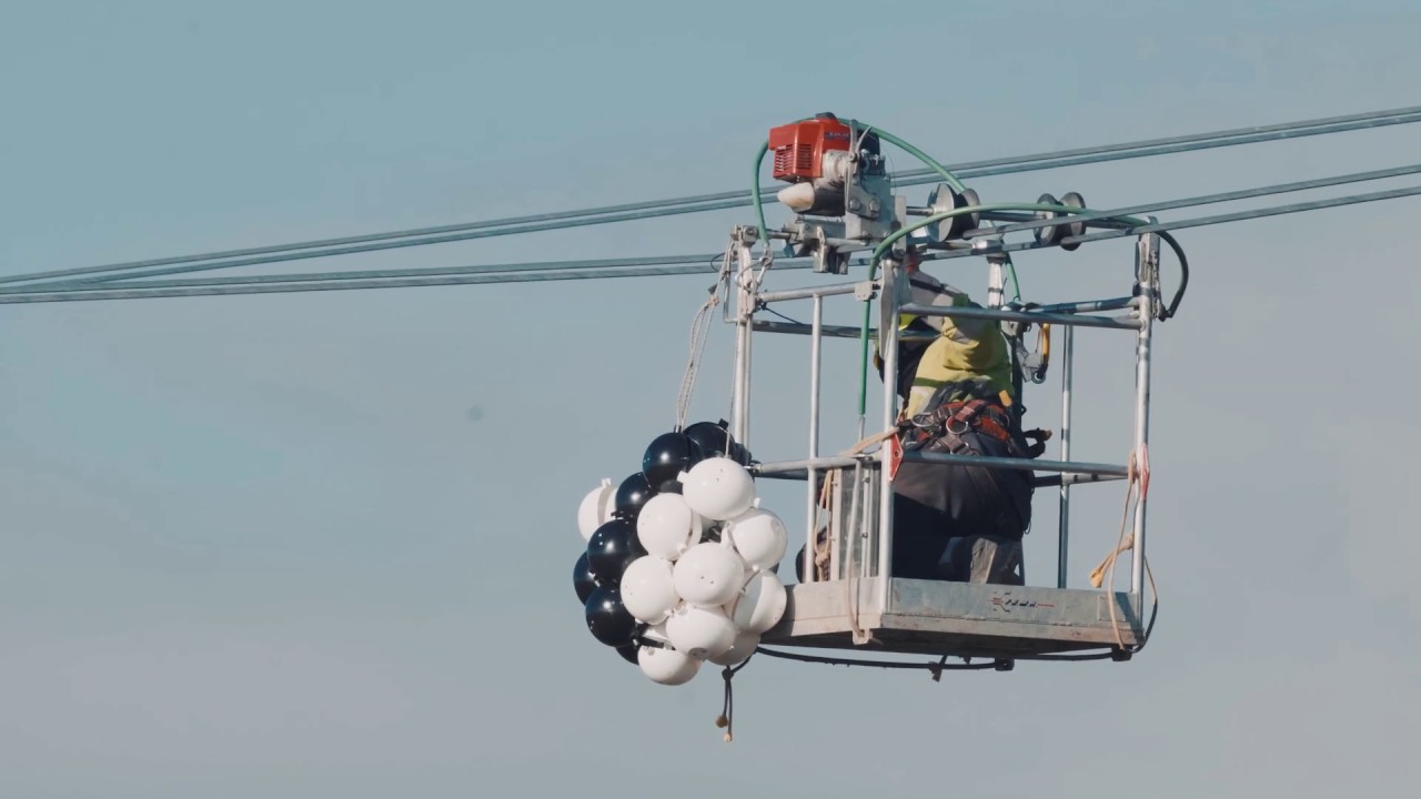 Estonian TSO Elering to install 10,000 power line markers on the Harku ...
