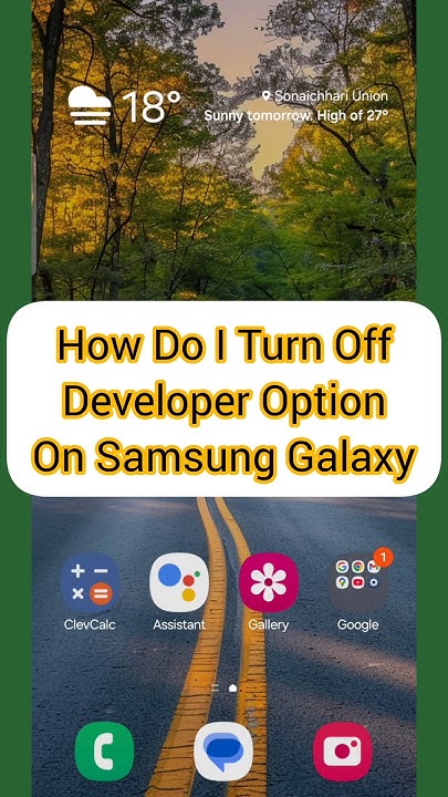 How Do I Turn Off Developer Options On My Samsung Galaxy | Samsung ...