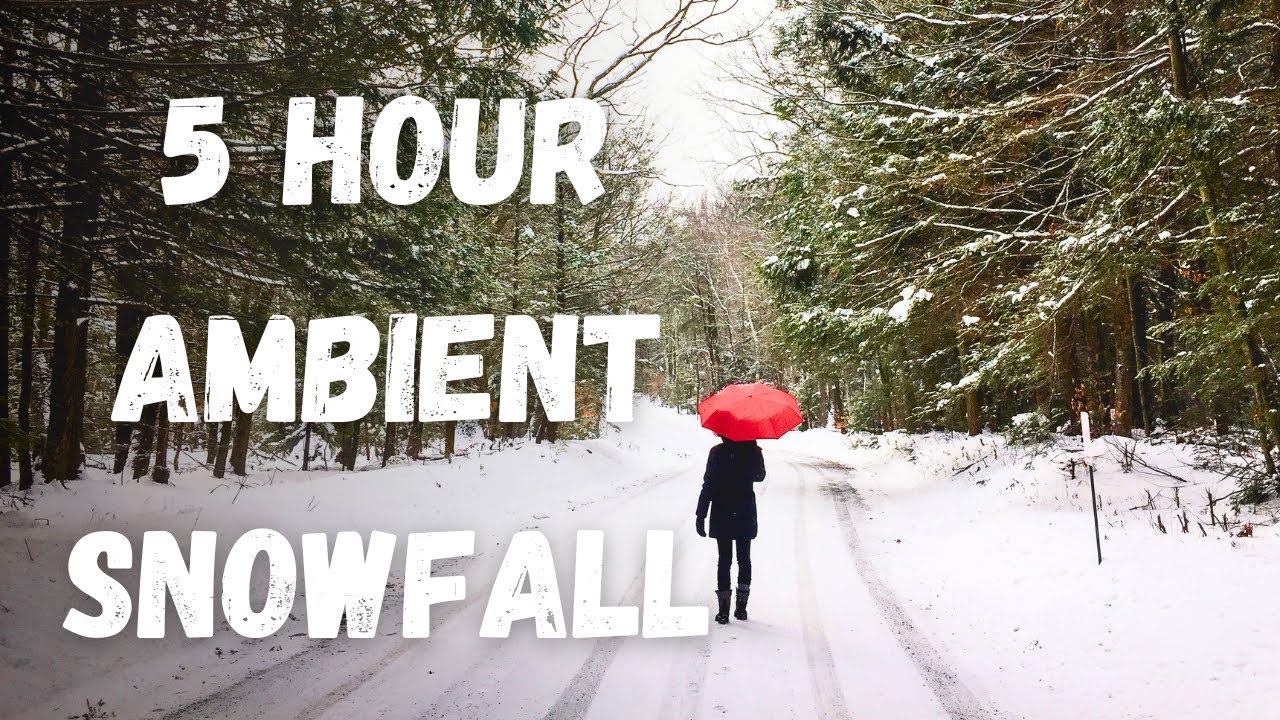 5 Hour Falling Snow Ambient Video with Meditation Intro - YouTube
