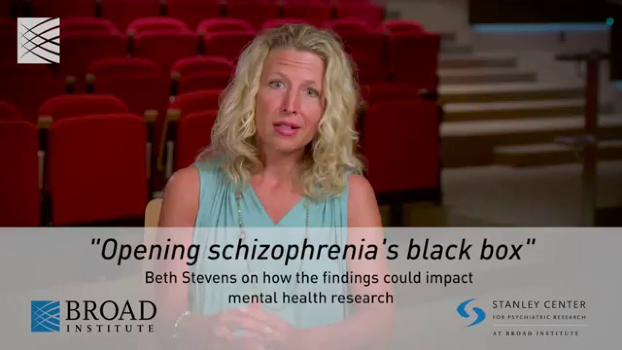 Beth Stevens on how the C4 findings could impact mental health research ...