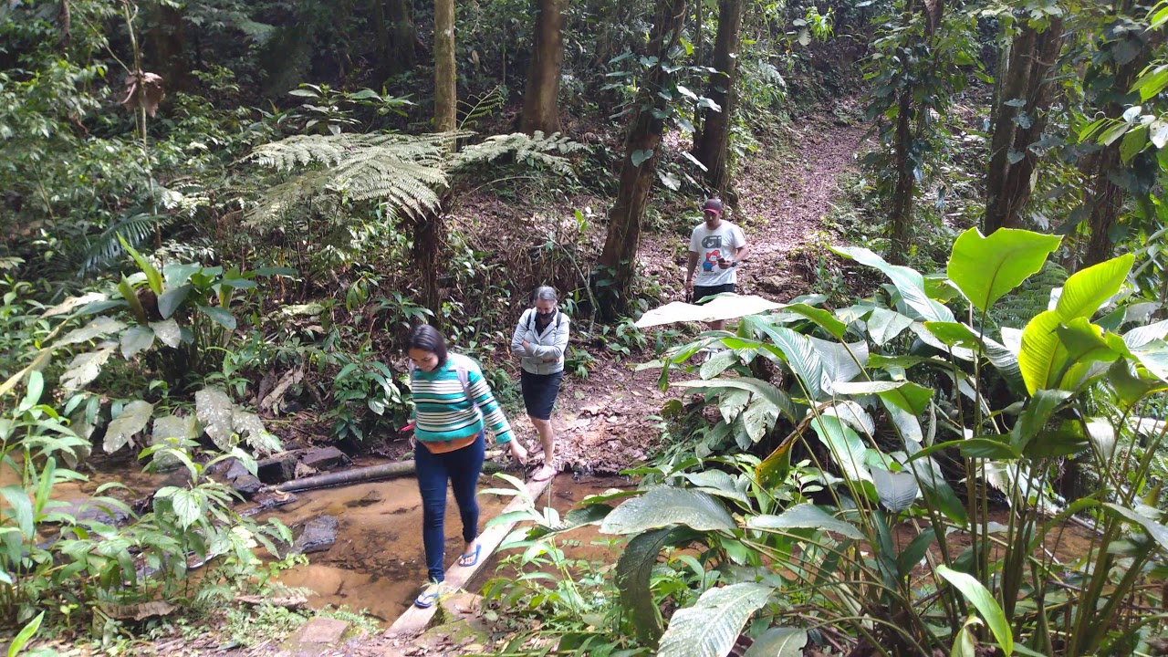 Trilha em São Lourenço - pesqueiro Triângulo Azul - YouTube