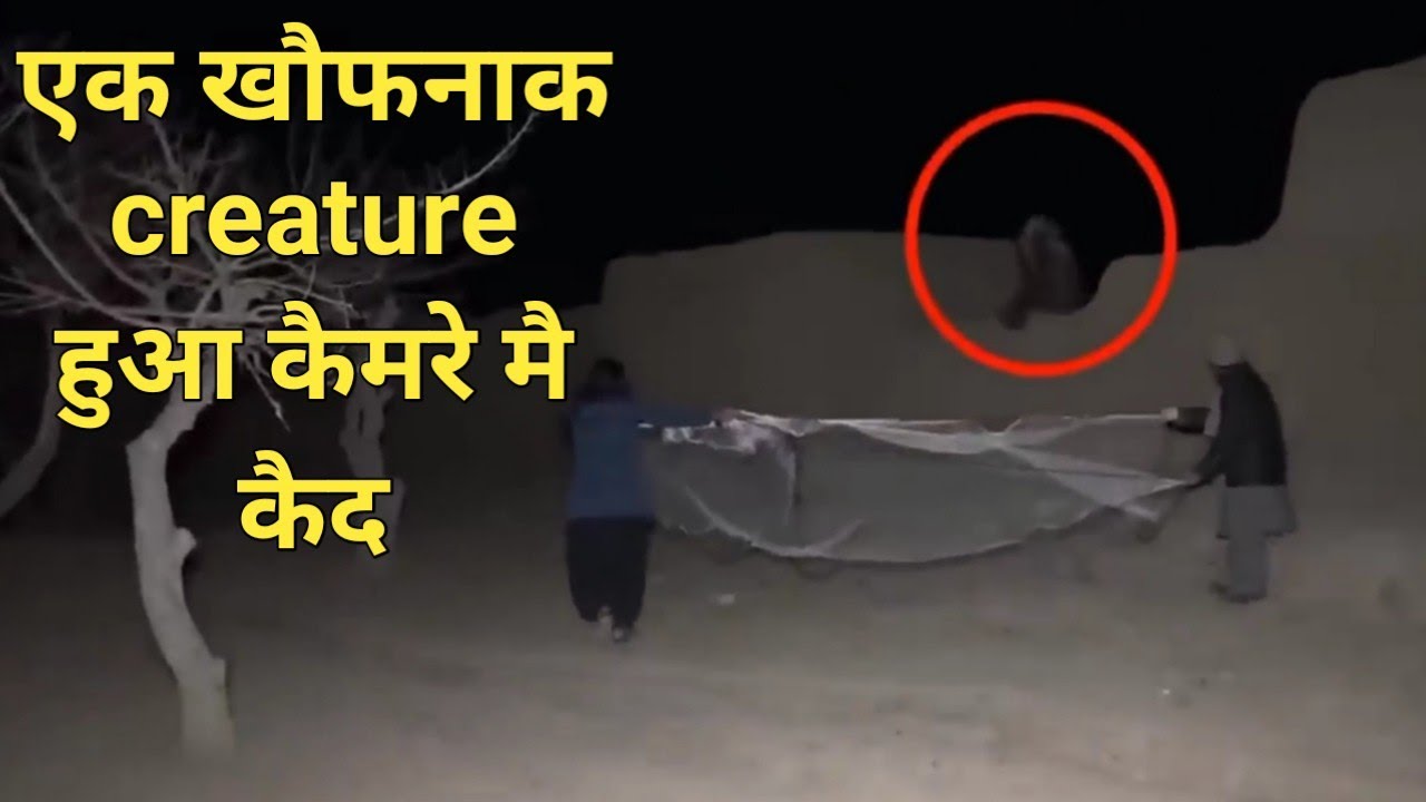 scary creature caught on camera/ कैमरे मै कैद हुआ खौफनाक creature - YouTube