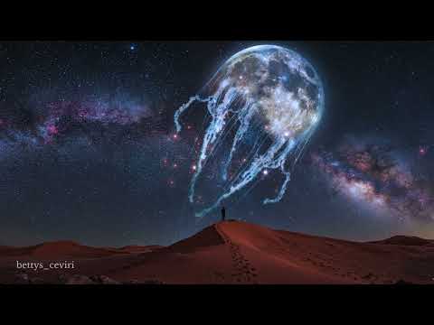 ZAYN - Fatal (Türkçe Çeviri)