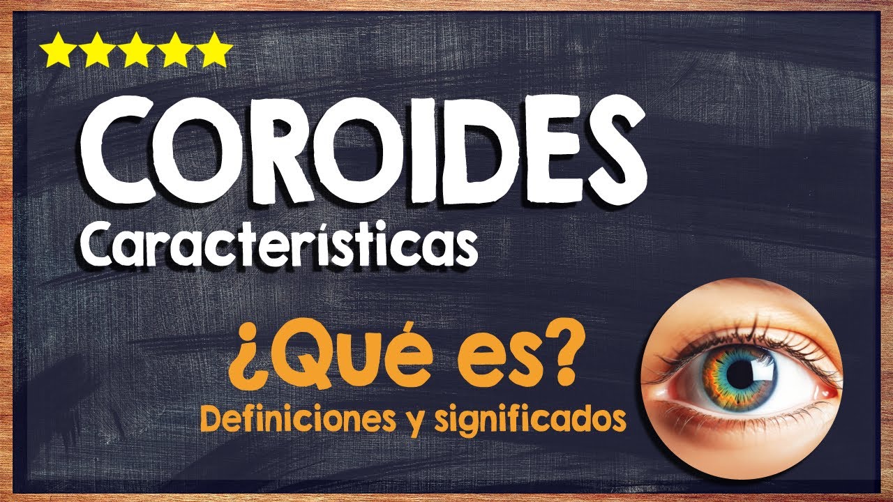 🙏 ¿Qué es la Coroides? - Conoce la Función de la Coroides 🙏 - YouTube