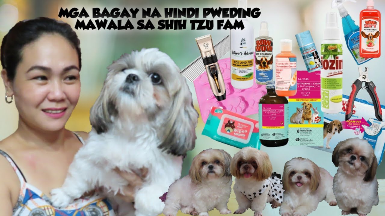 SHIH TZU FAM || MAHALAGANG GAMIT NG DOGS KO + GUMAWA AKO NG TREATS ...