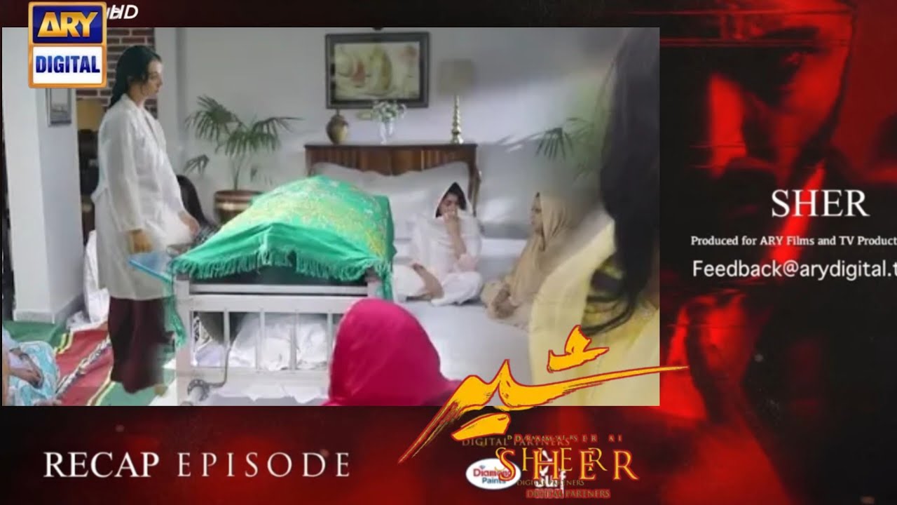 Sher episode 30 Teaser - Sher Episode 30 Promo - Sher Episode 29 - Hamzo World - YouTube