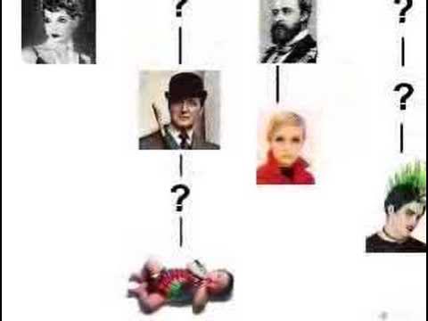 8 -- Human Evolution Made Easy - YouTube