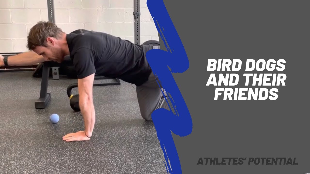 Bird Dog Progressions - YouTube