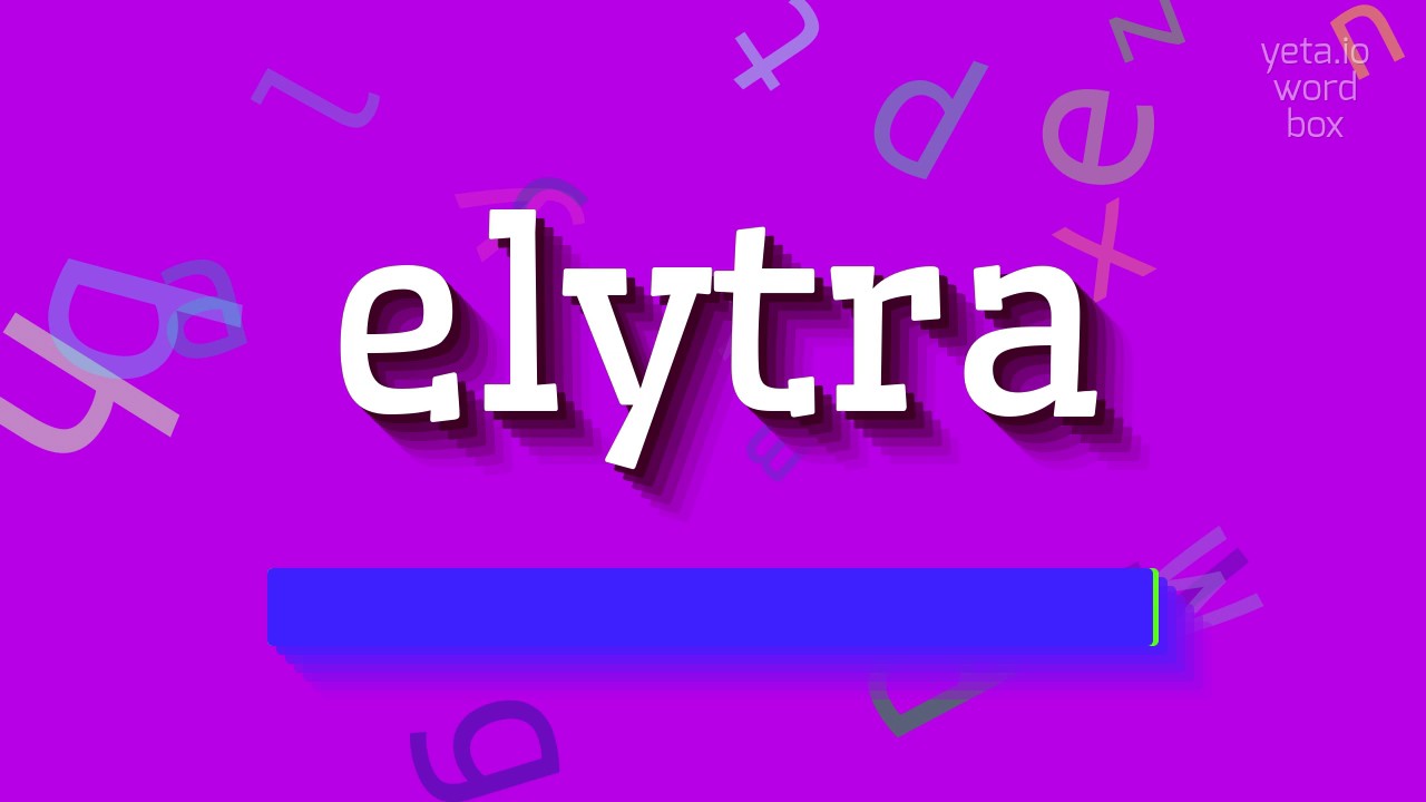 How to say "elytra"! (High Quality Voices) - YouTube