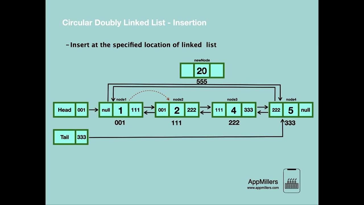 Insertion in Circular Doubly Linked List - YouTube