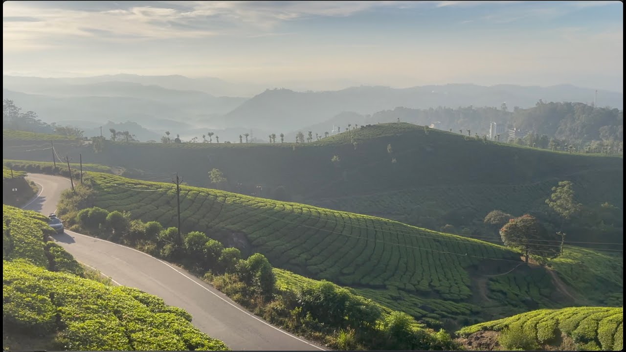 Exploring Munnar: A Perfect Day Trip Adventure in the Hills! | Daytrip ...