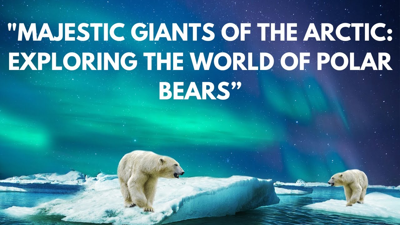 "Majestic Giants of the Arctic: Exploring the World of Polar Bears ...