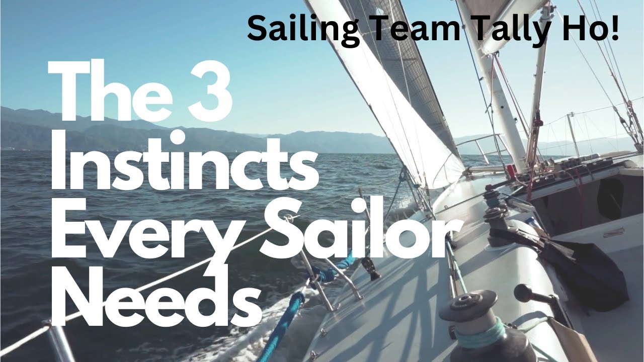 What Are The Three Instincts?(And Do You Know Them?). #sailing # ...