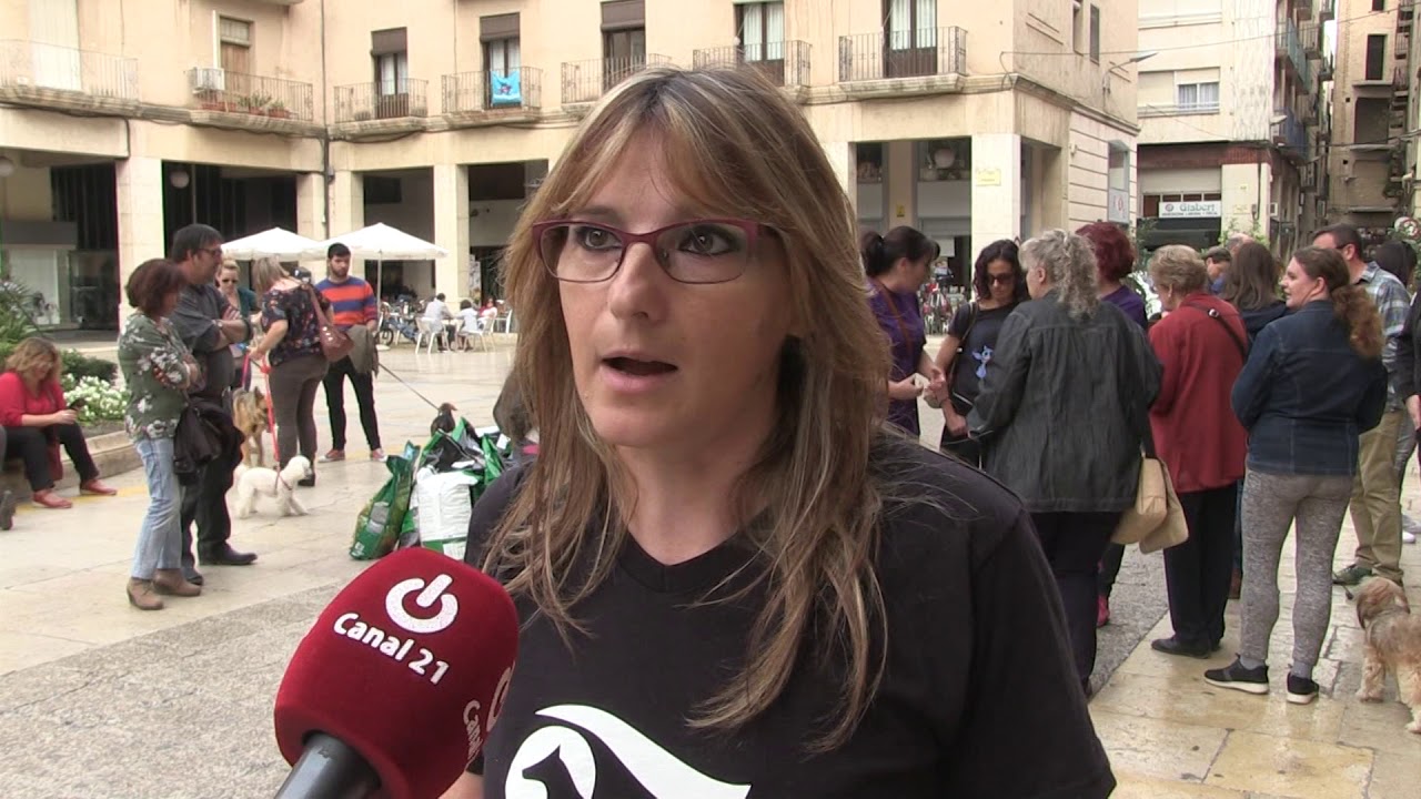 ARCA presenta un recurs per la gestió de la gossera a Tortosa - YouTube