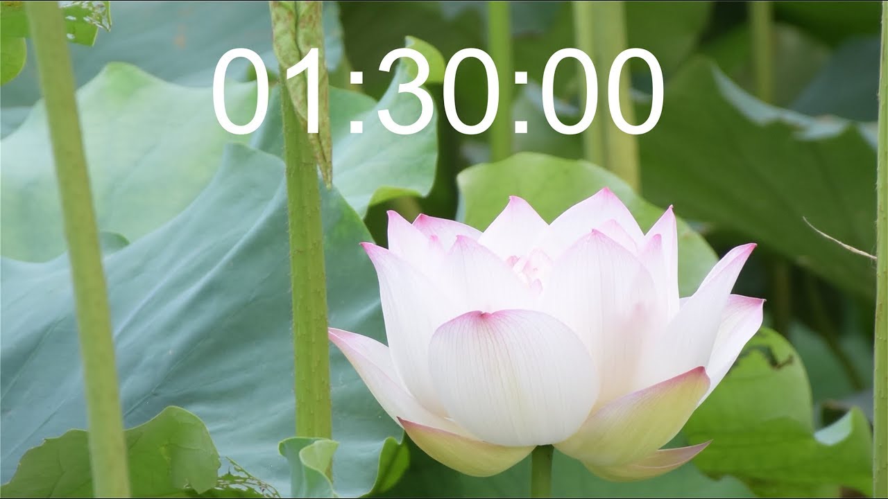 1 Hour 30 Minutes Countdown YouTube 1-hour-30-minutes-countdown-youtube