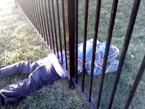 Stuck under a fence - YouTube