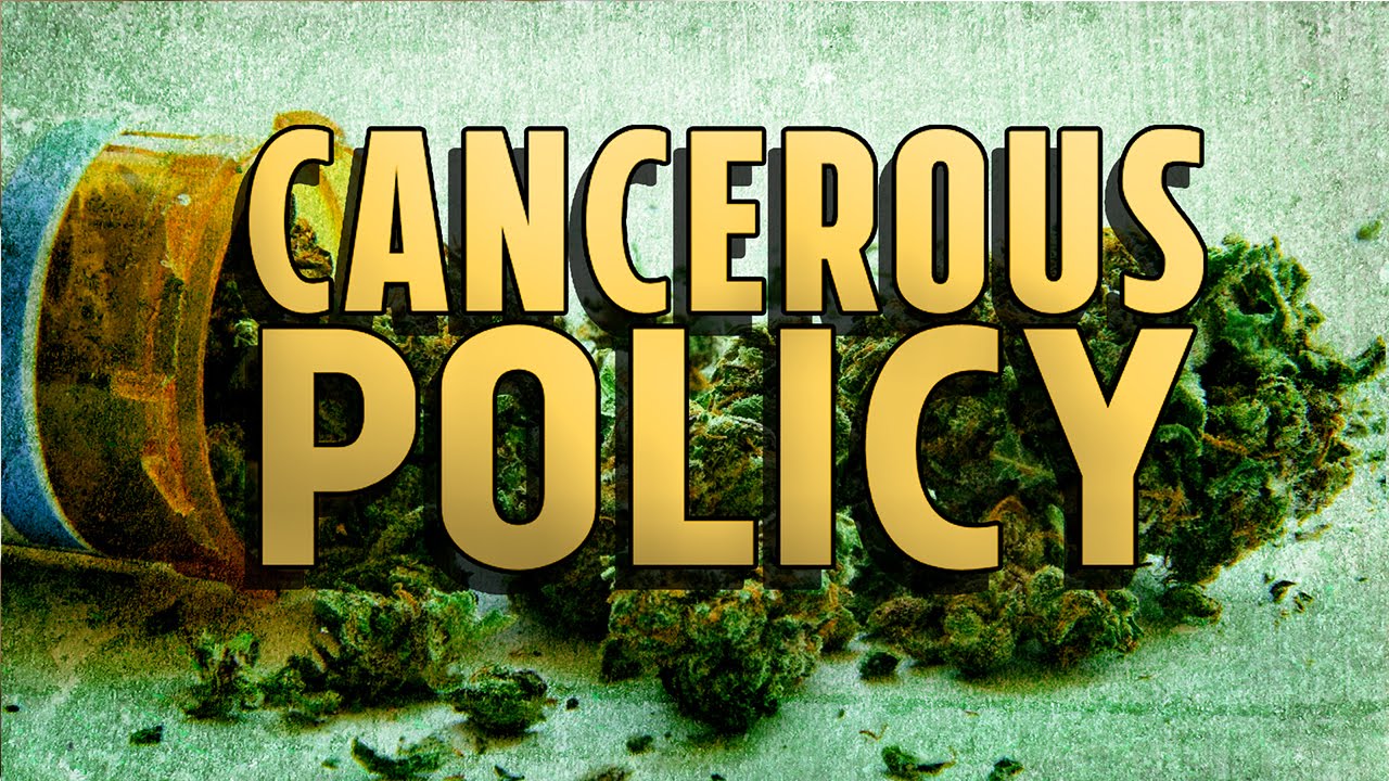 Shocking Details Of Cancer Patient’s Medical Marijuana Trial (Graphic ...