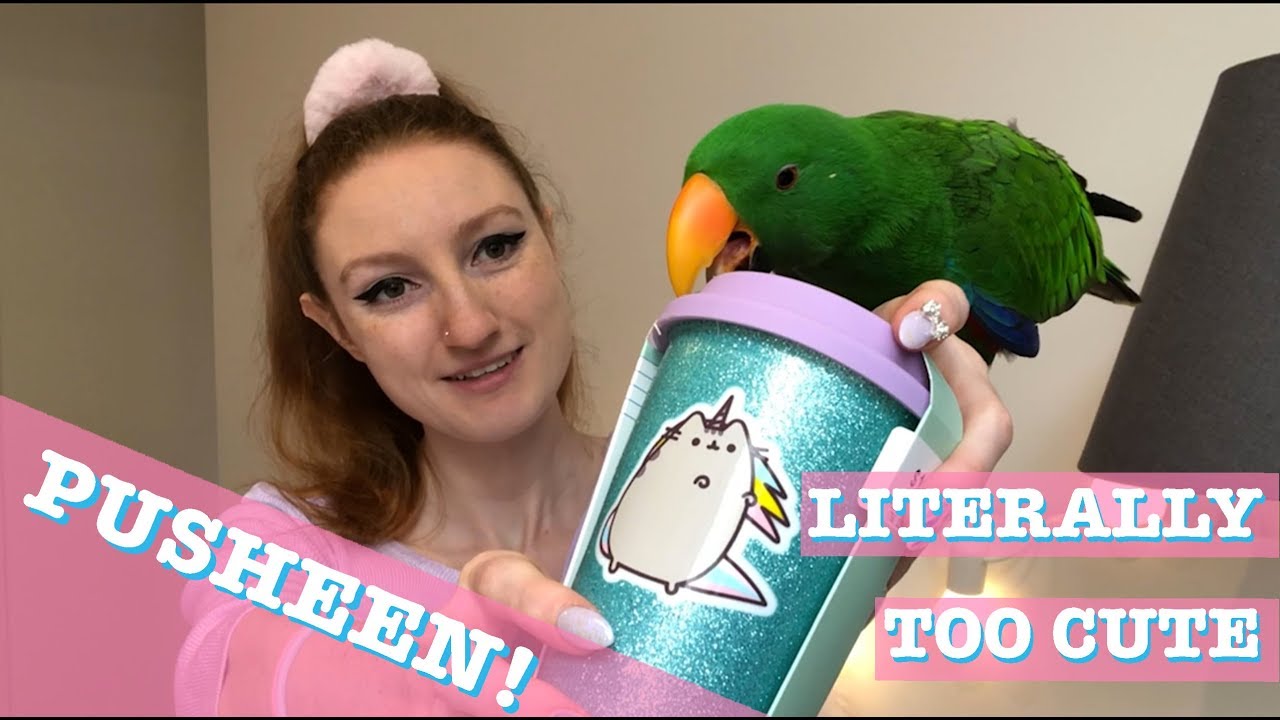 PUSHEEN HAUL + FULL PUSHEEN COLLECTION - YouTube