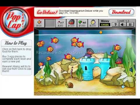 Insaniquarium Flash/Java - Tank 1 - YouTube