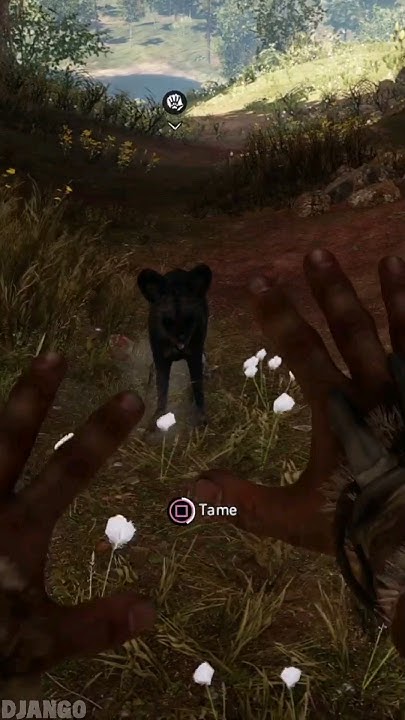 Taming another Black Beast #djangogaming #gaming #farcryprimal # ...