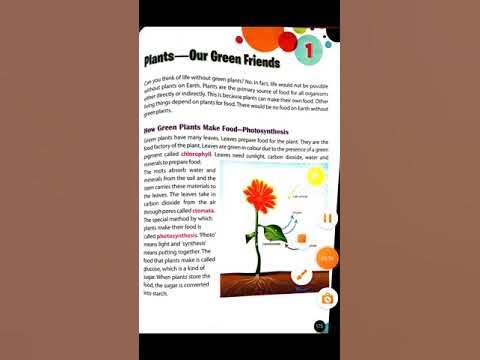 Class 4th E.V.S. Chapter no.1. Plants - Our Green Friends (part 1 ...