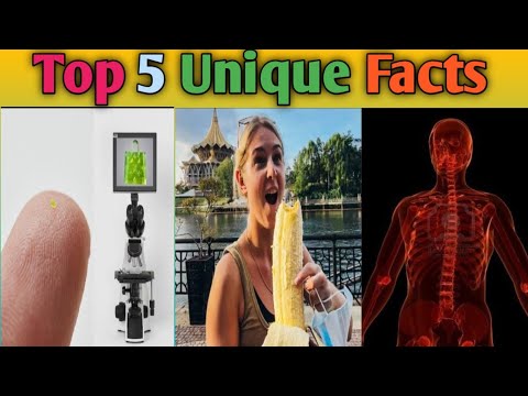 Top 5 Unique facts jo aap bill kull nai jante honge | in hindi - YouTube