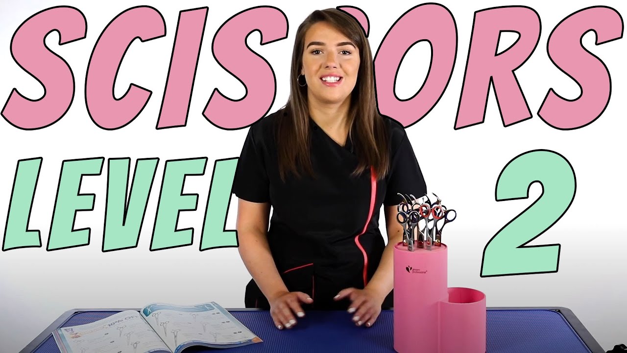 Dog Grooming Scissors - Level 2 | Dog Owner & Groomer - YouTube