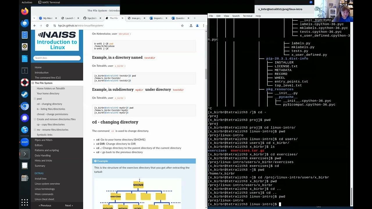 Lecture 3: Navigating the Linux filesystem - YouTube
