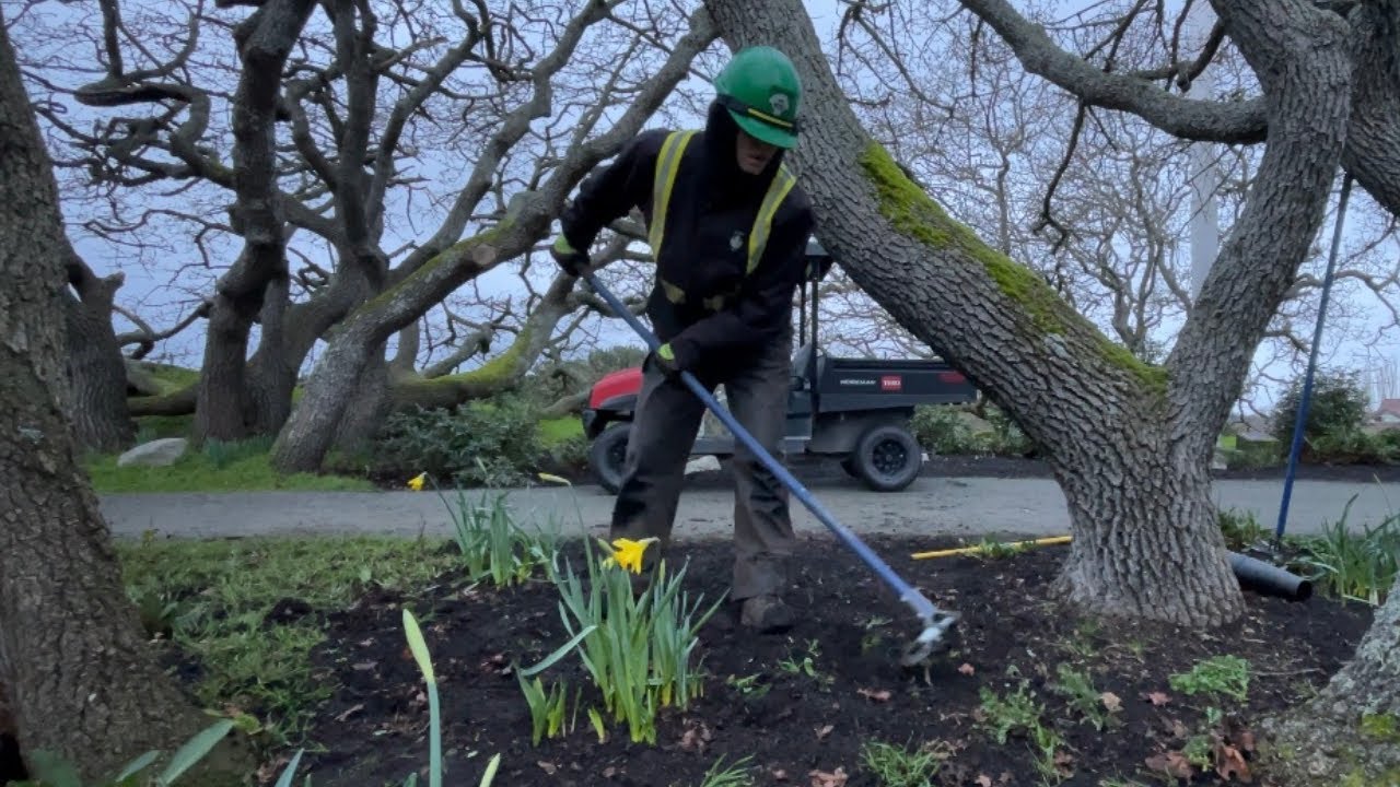 Using a GARDEN HOE to remove WEEDS - YouTube
