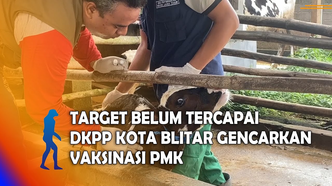 BLITAR - Target Belum Tercapai, DKPP Kota Blitar Gencarkan Vaksinasi ...