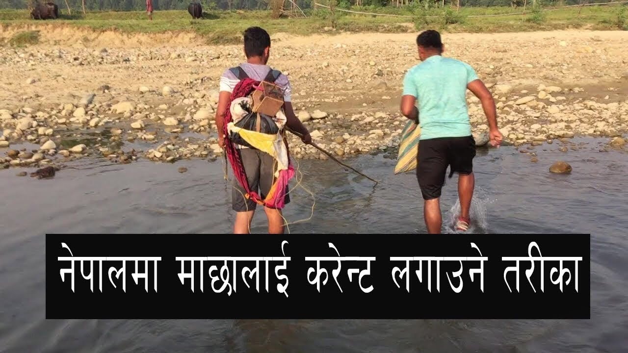 Fishing in NEPAL by Electric FISH Shocker - YouTube