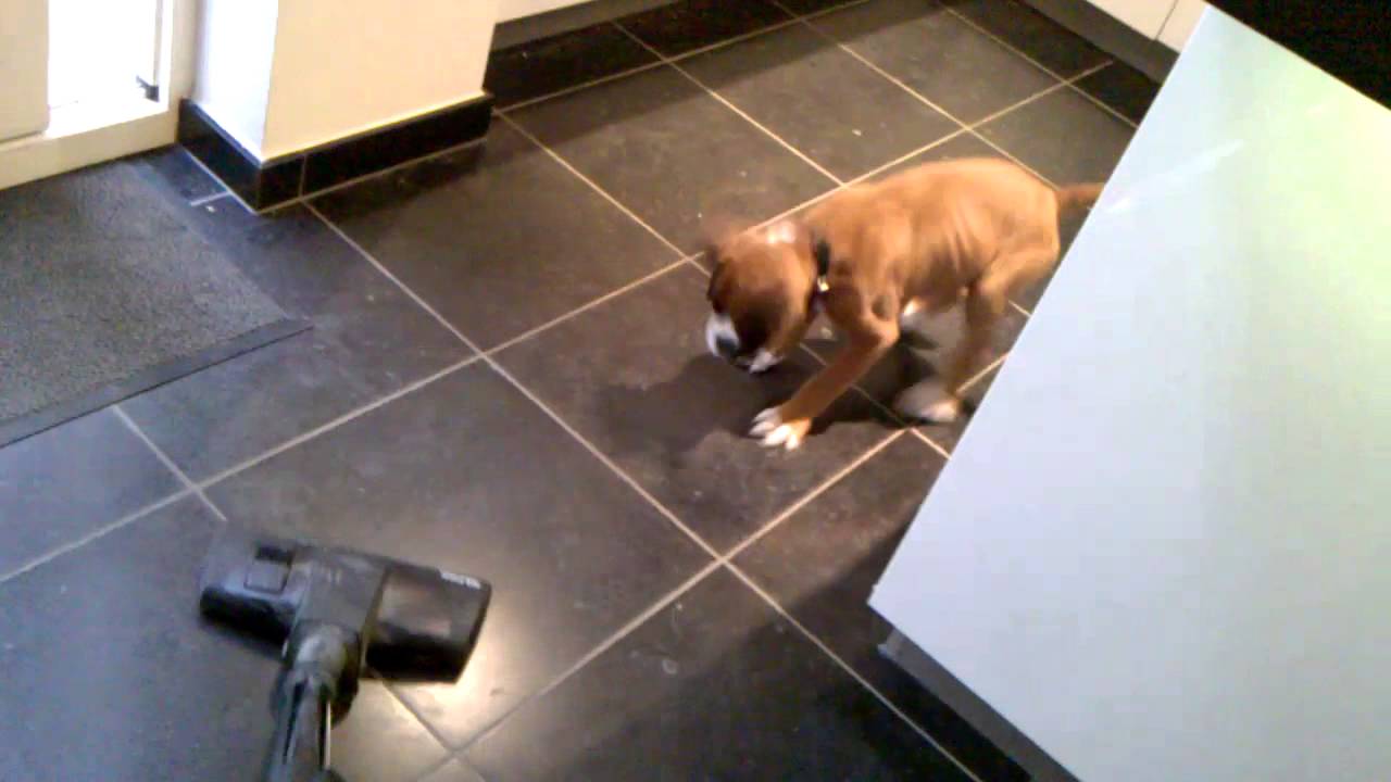 The Evil Vacuum Cleaner - YouTube