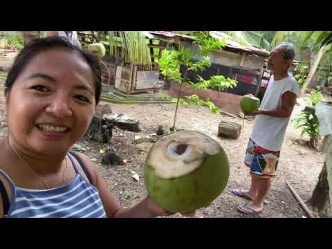 Fresh Buko From Our Backyard # Buko Juice - YouTube