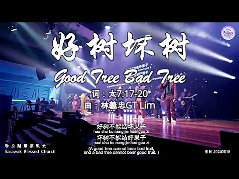 好树坏树 Good Tree Bad Tree 词：太7:17-20 曲：林義忠GT Lim - YouTube