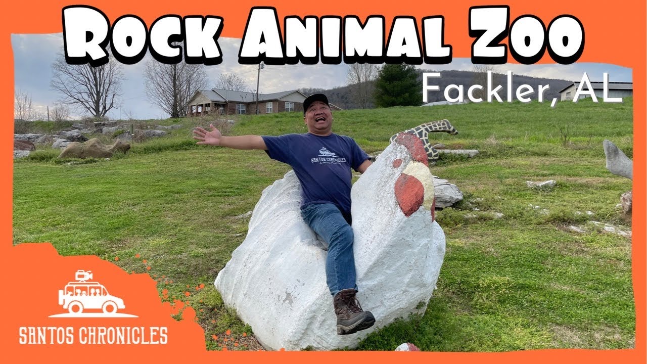 Rock Animal Zoo | Roadside Attraction - YouTube