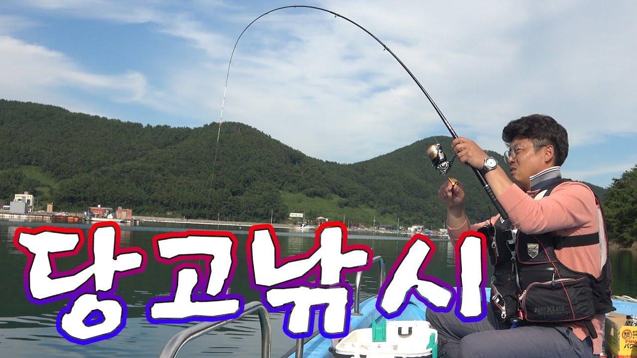 감성돔 당고 낚시를 해봅시다 / 마리수 가능합니다 / Ikada fishing [박과장TV] - YouTube
