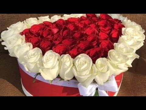 Remz Nacional is live!I wish you àre here - YouTube