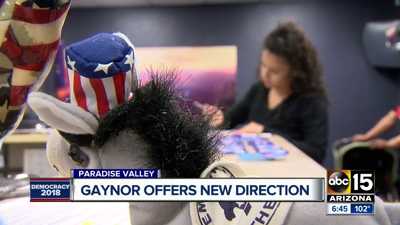 Steve Gaynor says he offers a new direction in Secretary of State race ...