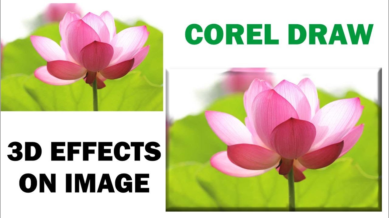 Applying 3D Effects on Image - CorelDraw Tutorial - YouTube