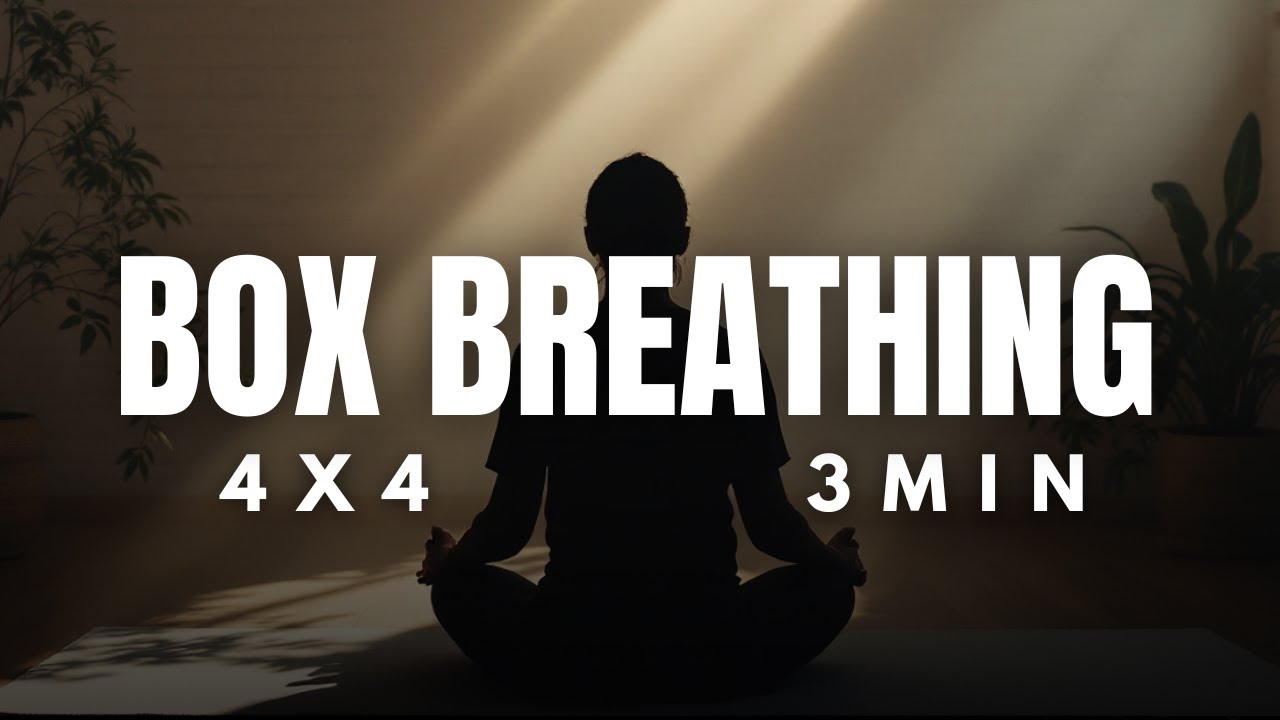 Box Breathing Relaxation Exercise | 4x4 | 3 Minutes | Anxiety Reduction ...