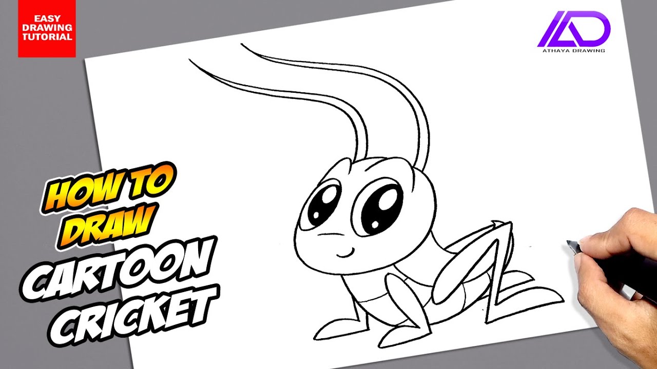 How to draw Cartoon Cricket - YouTube