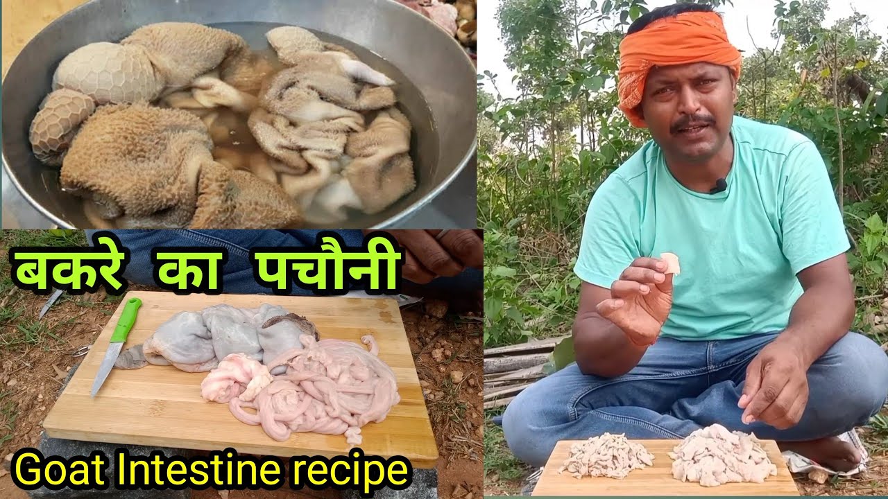 बकरे का पचौनी कैसे पकाते हैं |How to clean and cook goat intestine ...