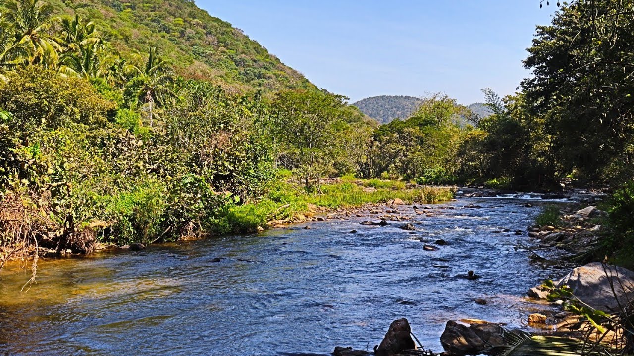 Trip to Attapadi, Anaikatti, Bhavani River, Siruvani River, Tribal ...