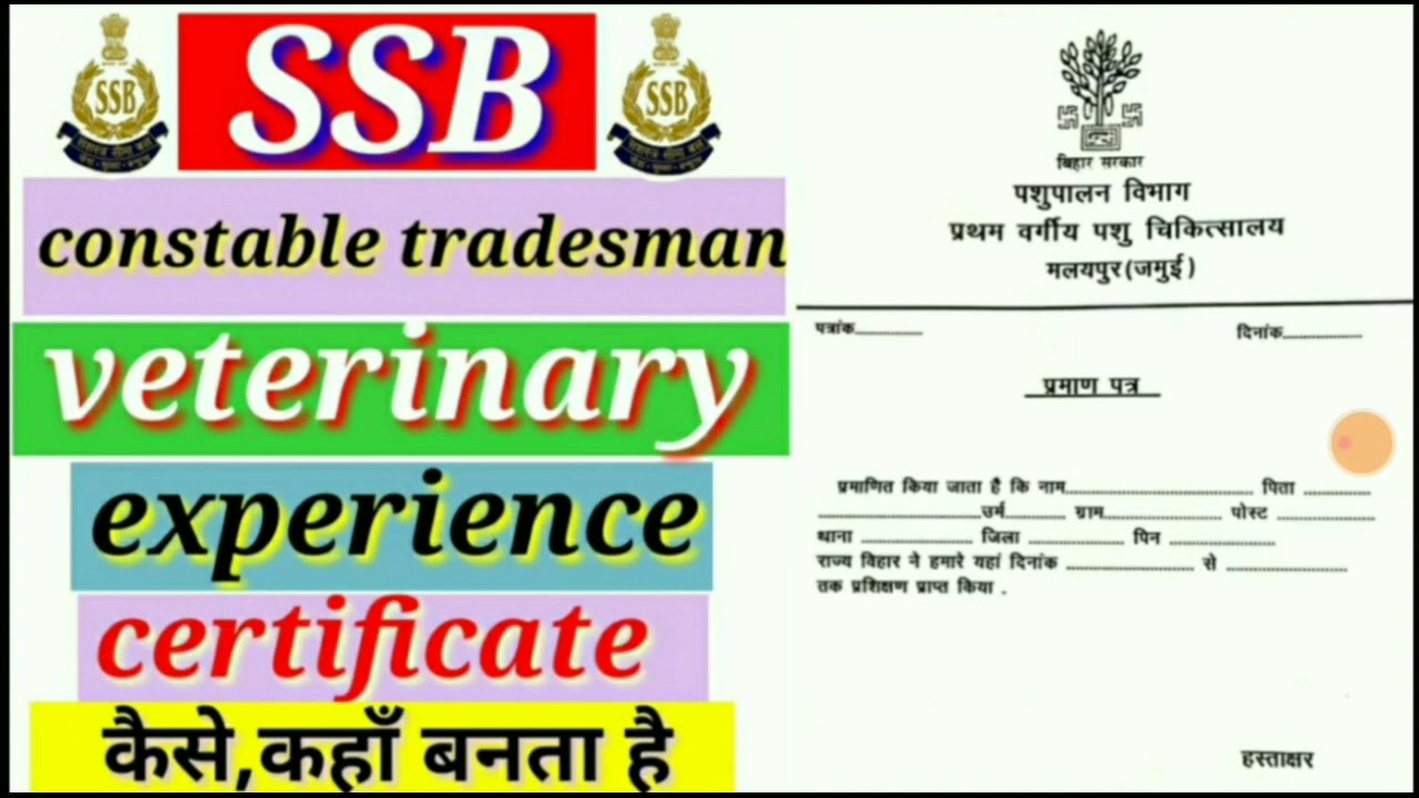 ssb-constable-veterinary-experience-certificate-kaise-banawye