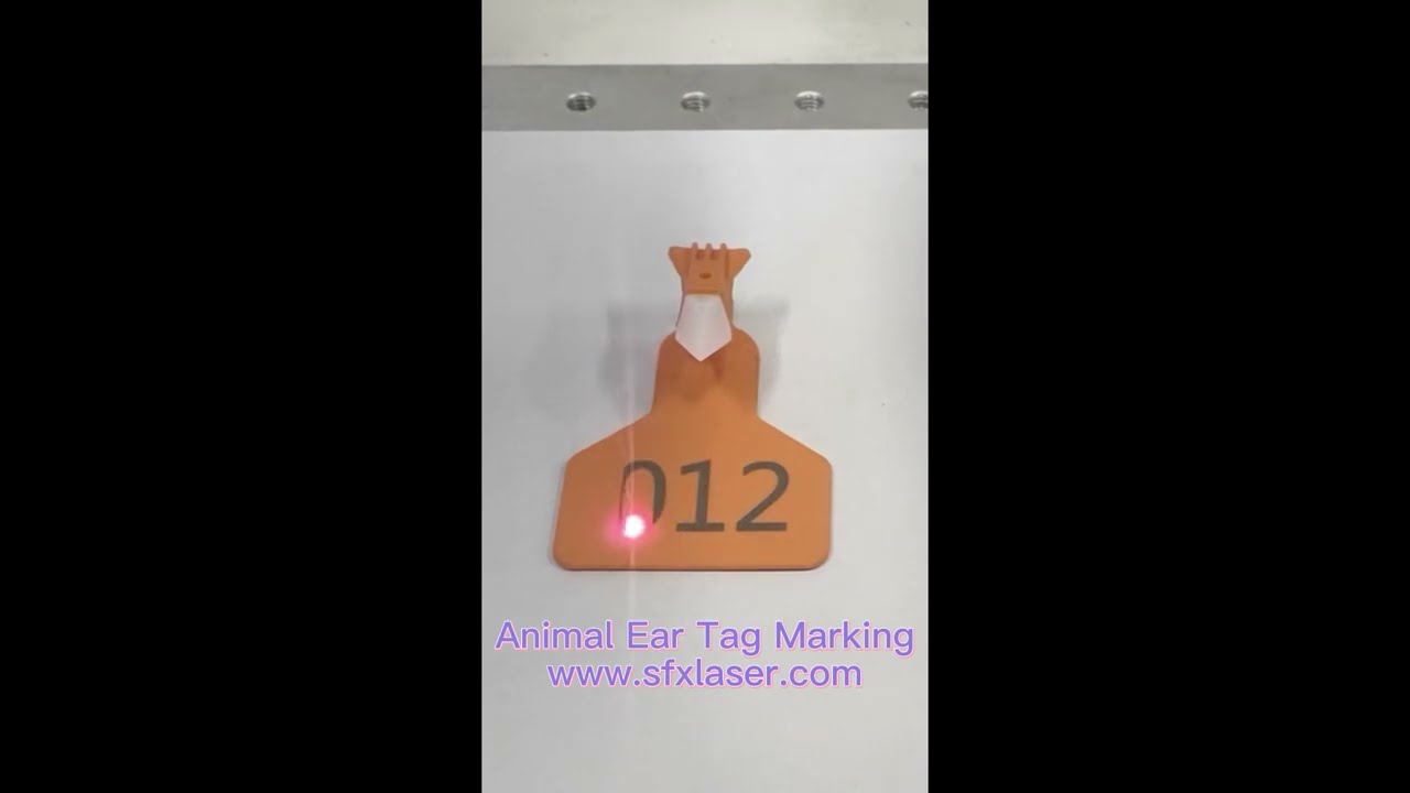 JPT Fiber Laser Engraver Animal Ear Tag Marking丨US Stock 50W JPT Fiber ...
