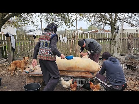 Köyün kış için et nasıl hazırladığı. Yaşlı bir çiftin hayatından bir hikaye!