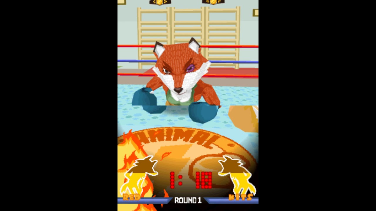 Animal Boxing Defeated by Kits 11 - YouTube
